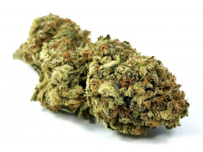 Top Terps / September 2022 - Garden City Cannabis Co.