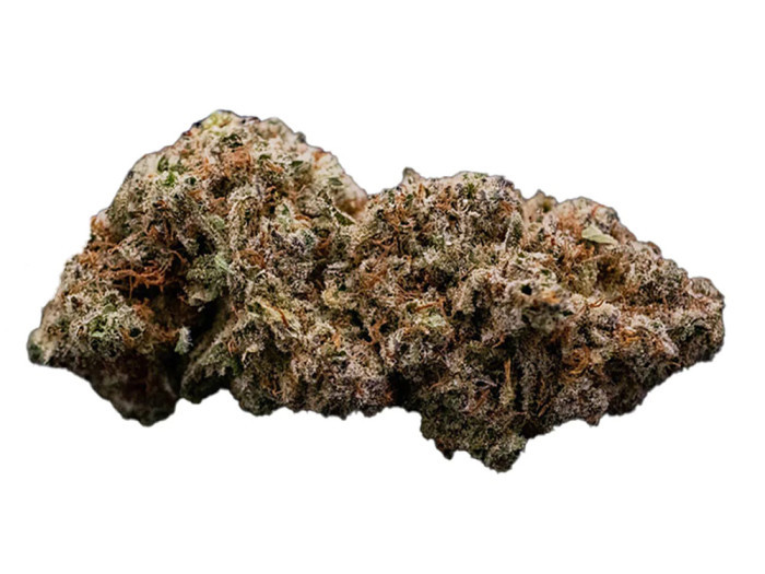 Top Terps / September 2022 - Garden City Cannabis Co.