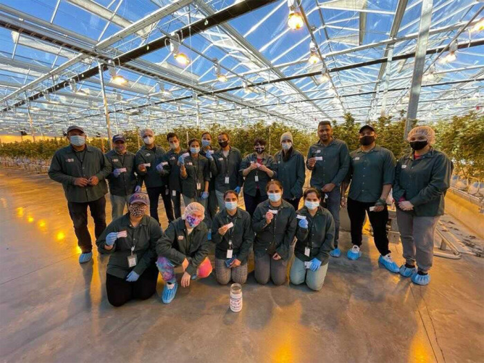 Pure SunFarms: A Journey Through Time - Garden City Cannabis Co.
