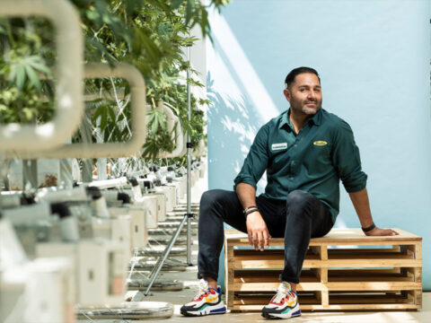 Pure SunFarms: A Journey Through Time - Garden City Cannabis Co.