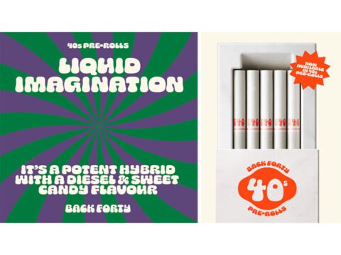 Back Forty Cannabis: Deep Dive w/ Garden City Cannabis Co - Garden City ...